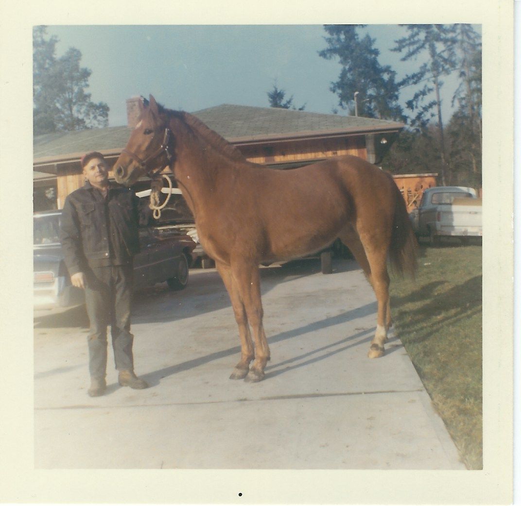 Who bought 1960's Ford Pickups back in the day? - Page 2 - Ford Truck ...