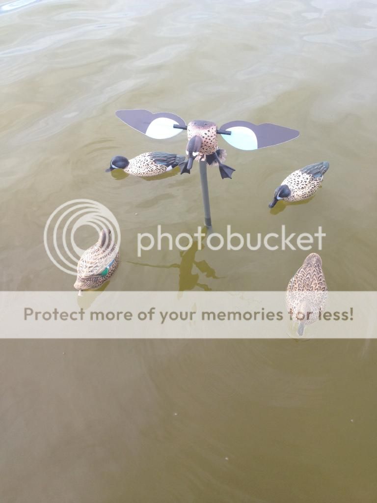 Yet another Teal Mojo Floater...